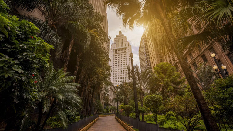 2025 NFL International Game Packages São Paulo, Dublin, Berlin, Madrid